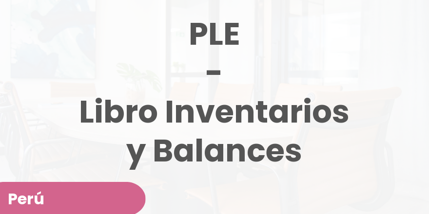 PLE 03 - Libro Inventarios y Balances | Develogers
